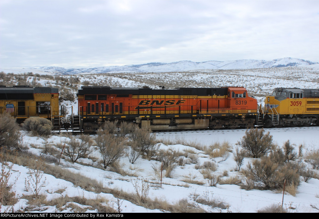 BNSF 8319